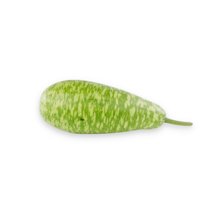 BENGALI SQUASH – Villar